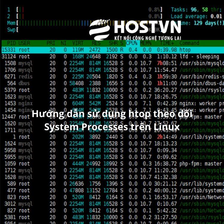 Hướng dẫn sử dụng htop theo dõi System Processes trên Linux - HOSTVN Blog