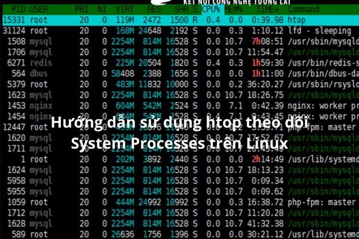 Hướng dẫn sử dụng htop theo dõi System Processes trên Linux - HOSTVN Blog